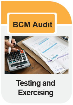 BCM Questionnaires 7: Testing and Exercising