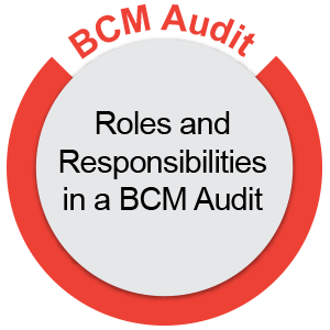 Online eBook: Table of Content: A Manager's Guide to Auditing and ...