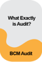 What Exactly is BCM Audit?