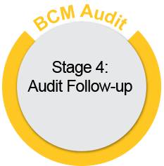 Stage 4: Audit Follow-up