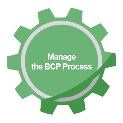 Step 5: Manage the BCP Process