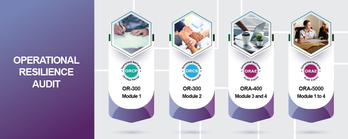 Operational Resilience Audit Course Offerings