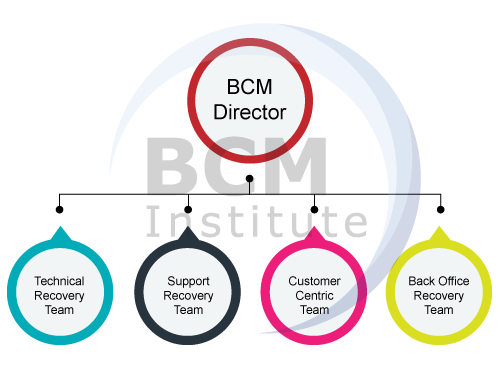 CIR PM BCM Team Structure for CIR