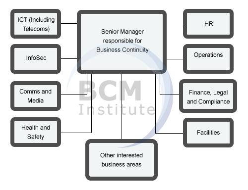 CIR PM BCM Team Structure for CIR