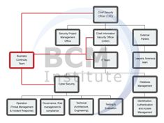 CIR PM Cyber Security Team Structure
