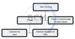 CIR PM Cyber Security Team Structure