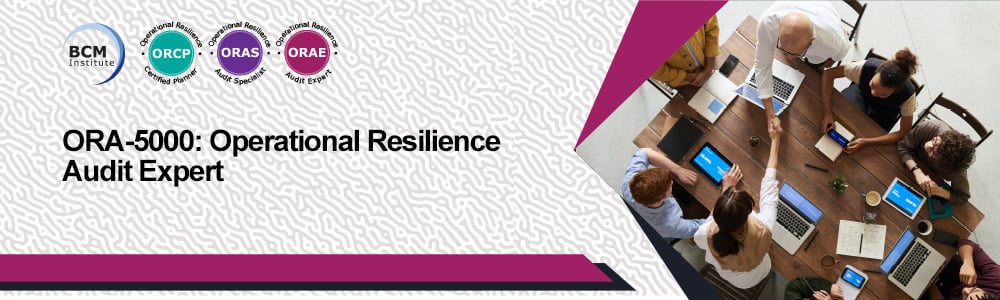 Operational Resilience Audit