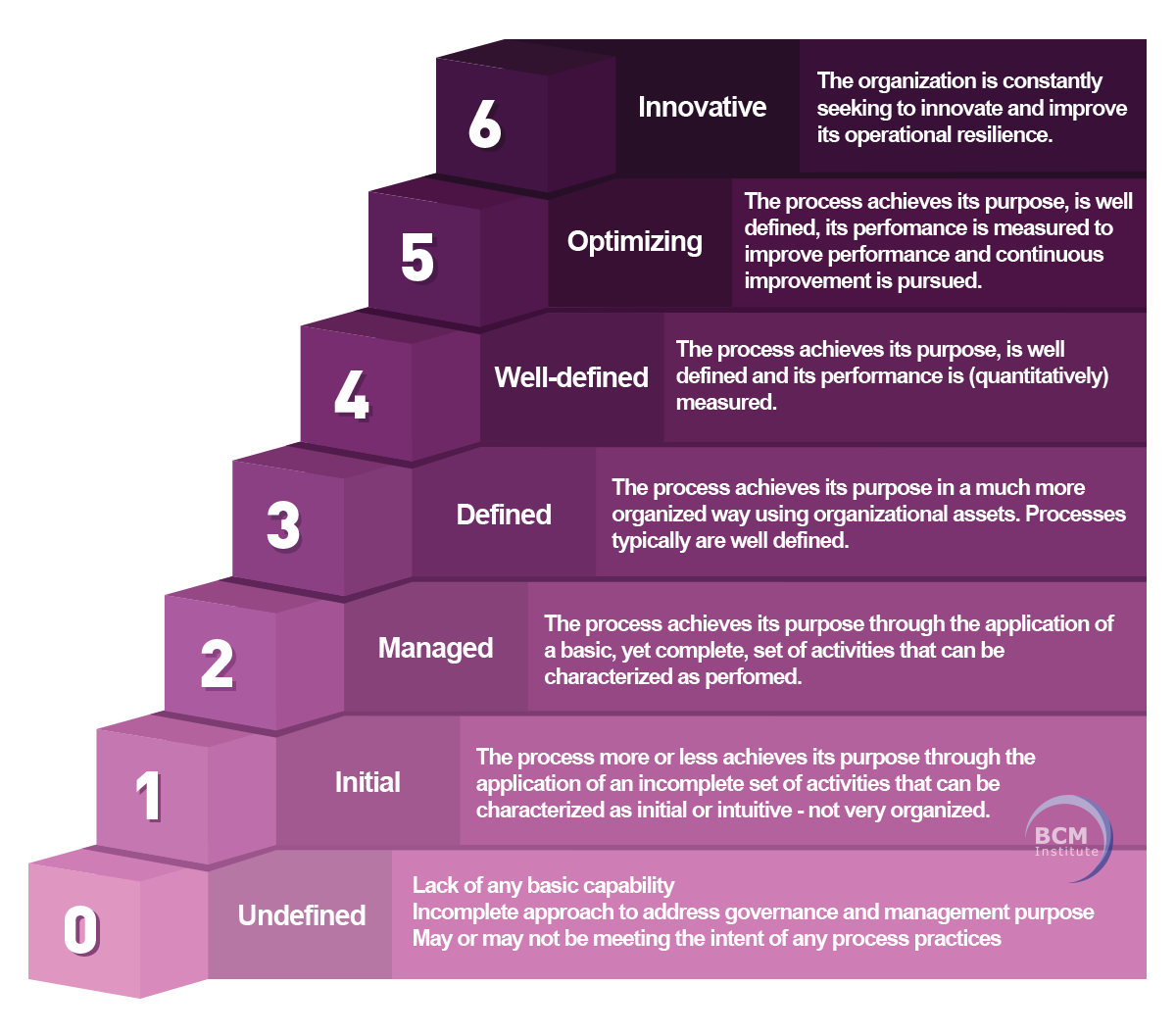 Operational Resilience Capability-level Model for Processes