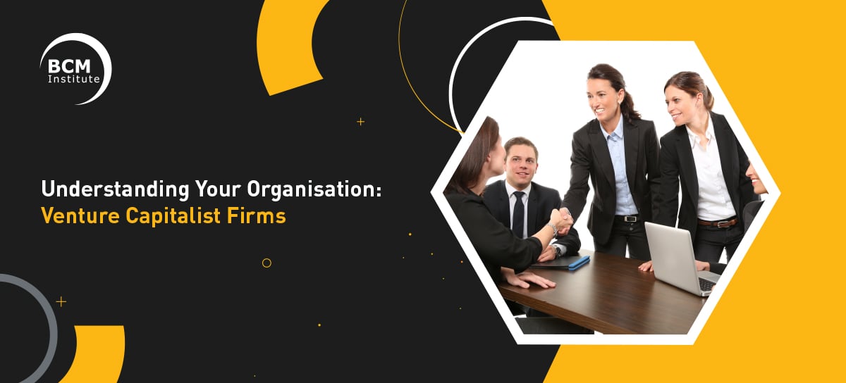 Understanding Your Organisation: Venture Capitalist Firms