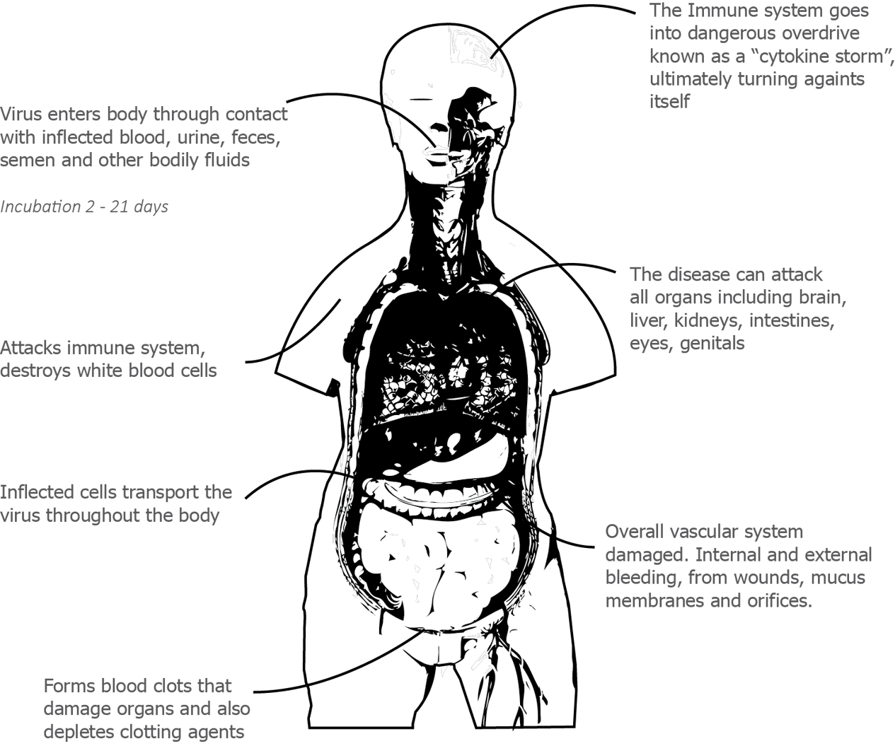 The Ebola Virus: An Introduction