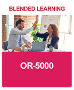 Operational Resilience Planning Methodology: Phases and Stages