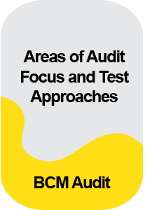 Areas of Audit Focus and Test Approaches