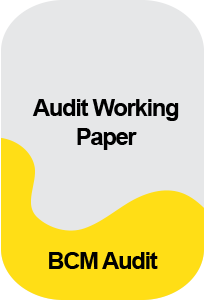 Appendix 10: Audit Working Paper