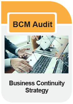 BCM Questionnaires 5: Business Continuity Strategy