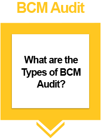 What are the Types of BCM Audit?