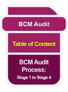 BCM Audit Process Stage 1 to Stage 4