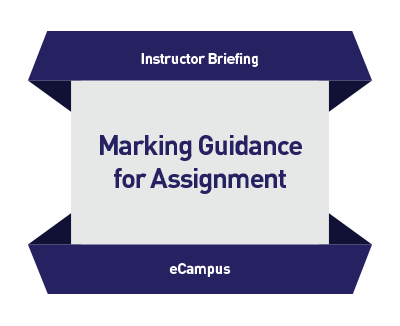 Marking Guidance for Assignment
