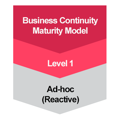 BCMM Level 1: Ad-hoc (Reactive)