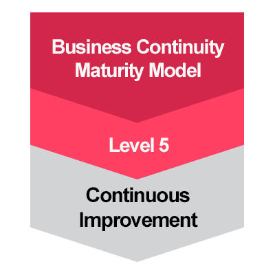 BCMM Level 5: Continuous Improvement