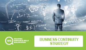 What Are the Types of Business Continuity Strategy?