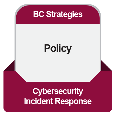 CIR BC Strategies for Policies