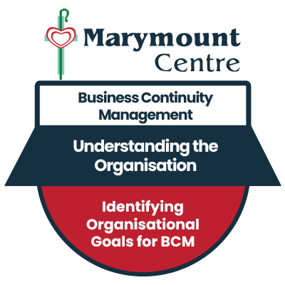 [BCM] [MC] [E1] [C3] Identifying Organisational Goals for BCM