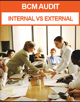 What is the difference between Internal Auditor vs External Auditor?