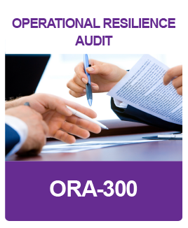 Operational Resilience Audit
