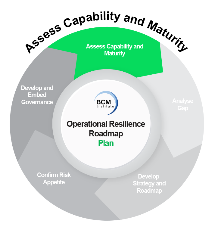 [Plan] Assess Capability and Maturity in Operational Resilience
