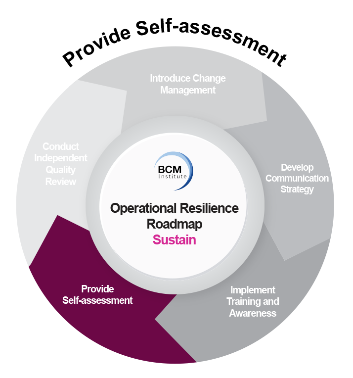 [OR] [P3-S4] Provide Self-Assessment in Operational Resilience?