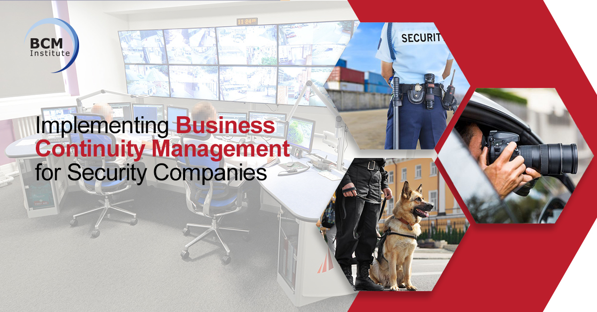 Understanding Your Organisation: Security Company